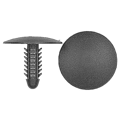 Fascia Retainer | Retainer | Auto Body Clips & Fasteners | Wurth USA