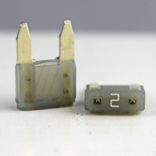 Mini Fuse Black 2 Amp | Mini | Fuses | Electrical | Wurth USA