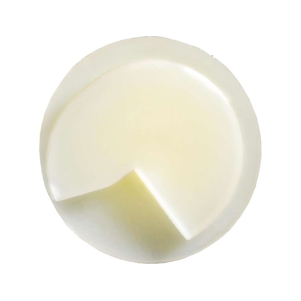 GM Door Panel Clip 82-85 | Wurth USA