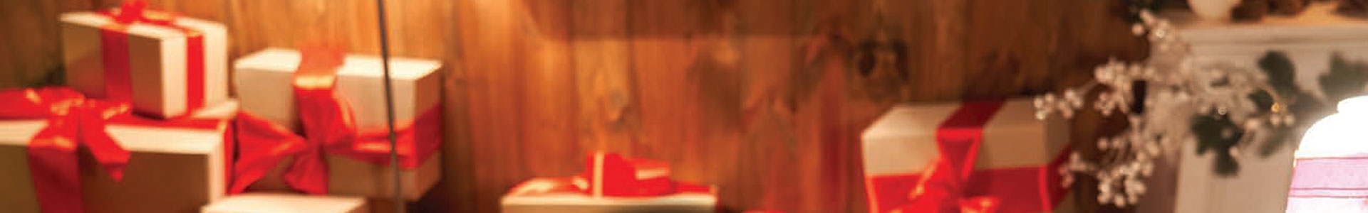 Holiday Gift Guide | Wurth USA